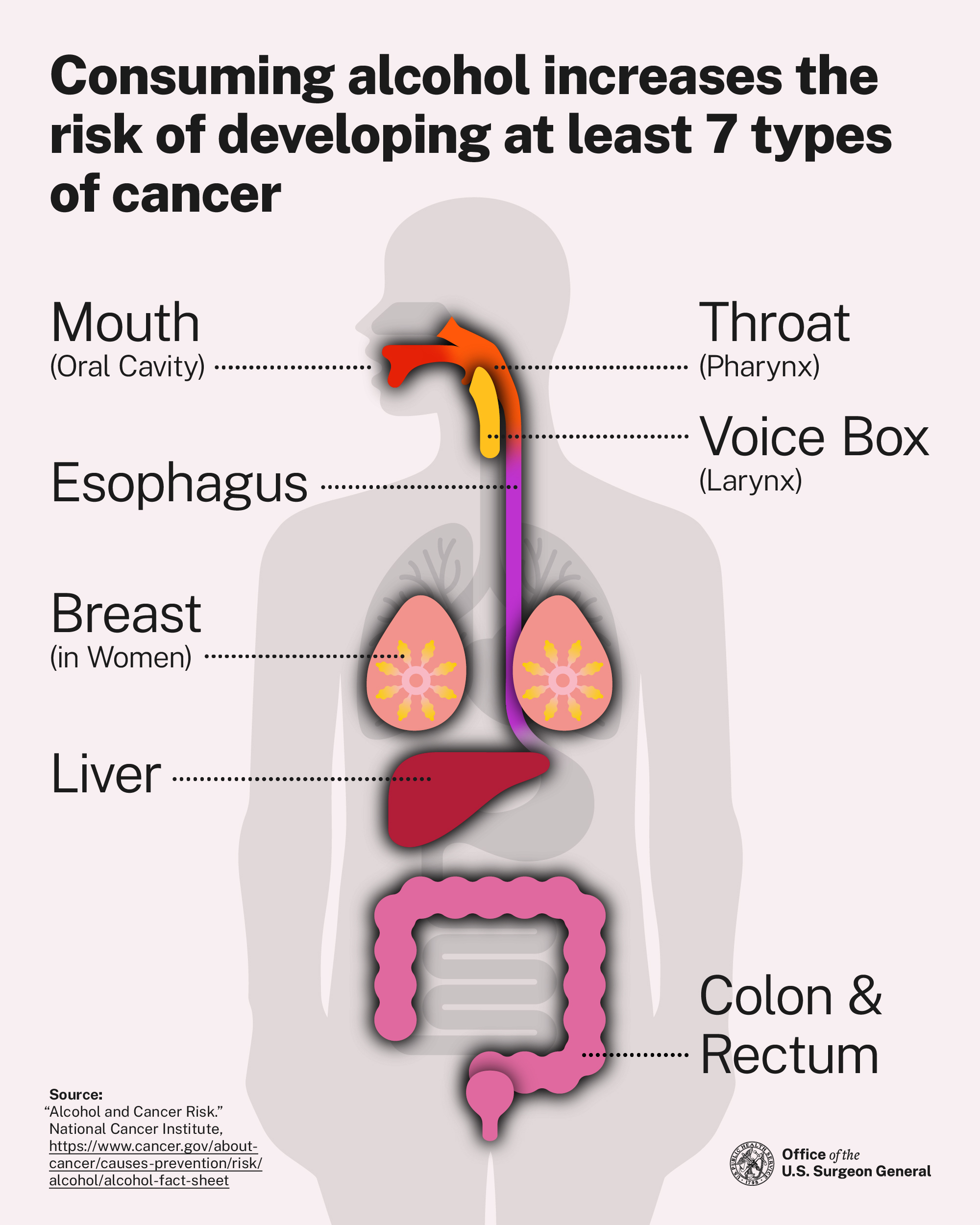 Alcohol And Cancer Risk HHS gov